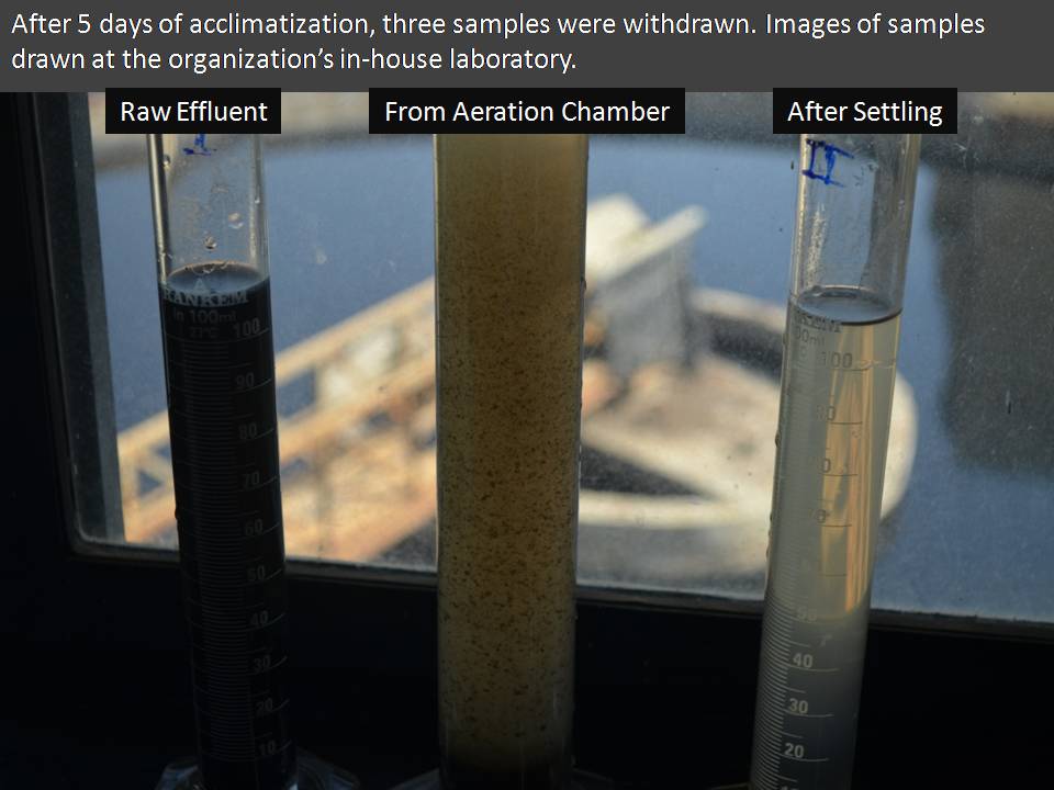 Supplier of Bacteria for Wastewater Odour Control