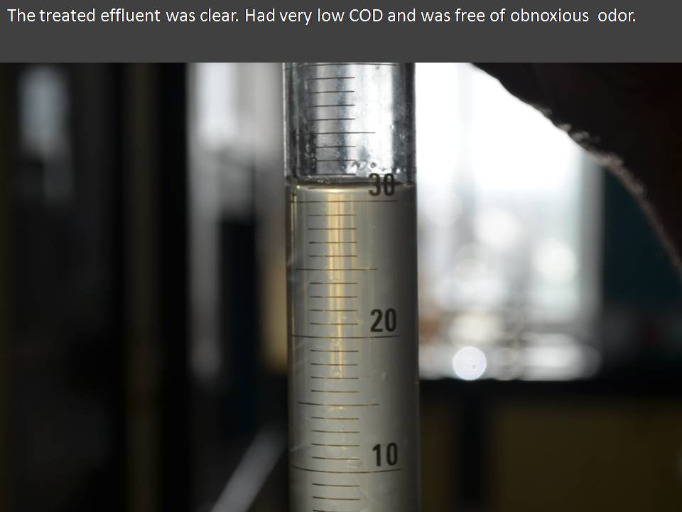 Supplier of Bacteria for Wastewater Odour Control