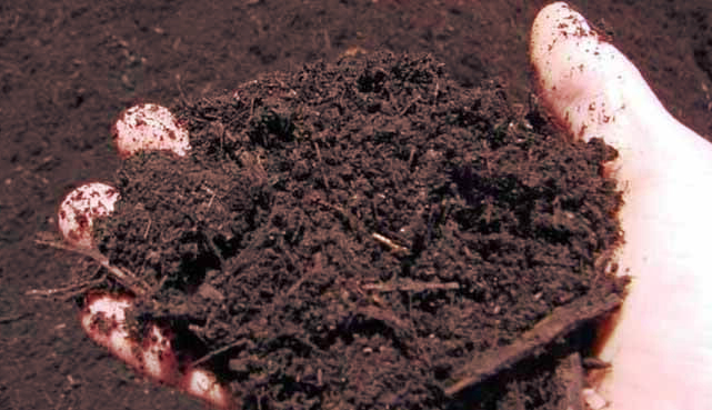 Manufacturer and supplier of Microbial Culture for Composting | Best ...